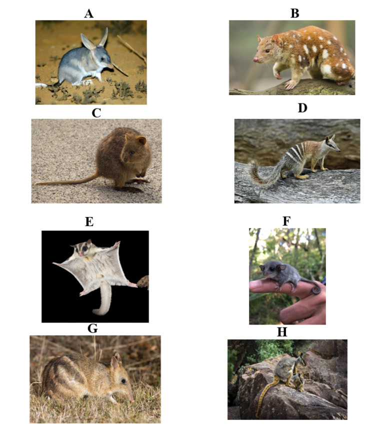 LE 2 Classification of Organisms Using Dichotomous Keys Unfamiliar ...