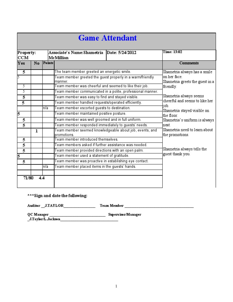Blank Audit Sheet | PDF