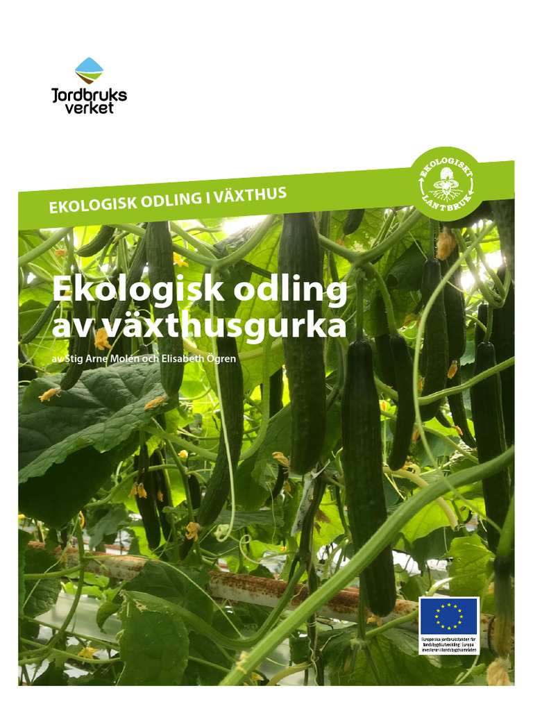 Ekologisk odling av växthusgurka | PDF