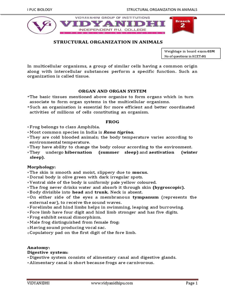 Structural Organization in Animals 2026 | PDF | Digestion | Pancreas