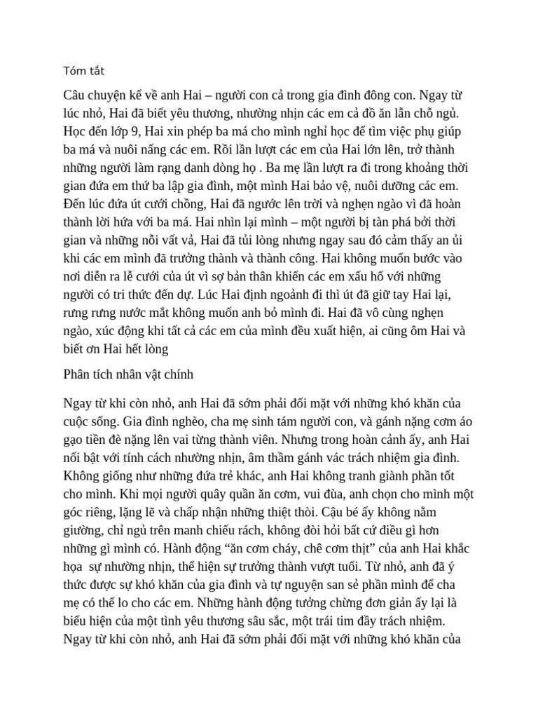 PT Anh Hai | PDF