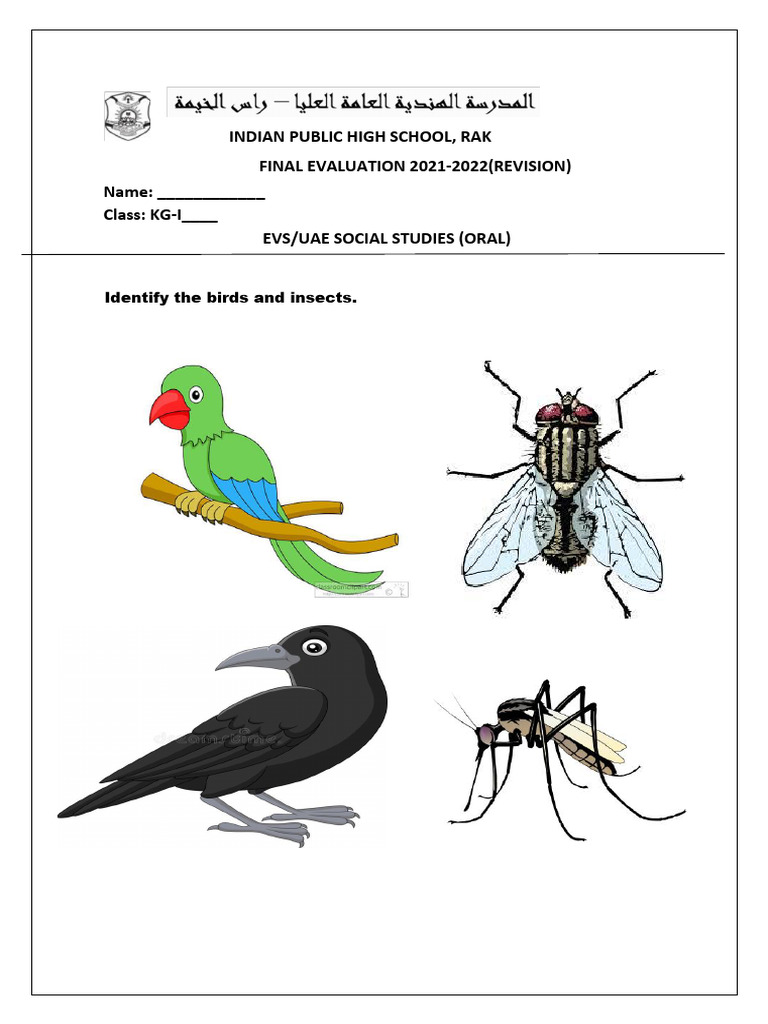 EVS Revision Worksheet (Oral ) 2022 | PDF