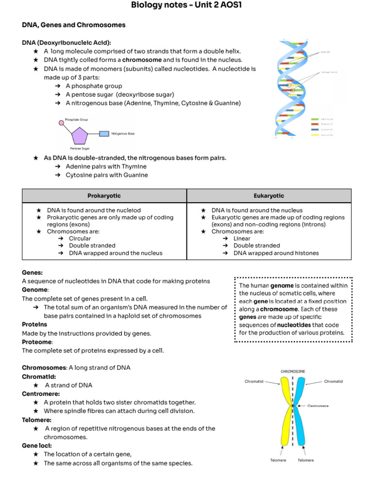 Biology Notes - Unit 2 AOS 1 | PDF | Dominance (Genetics) | Genotype