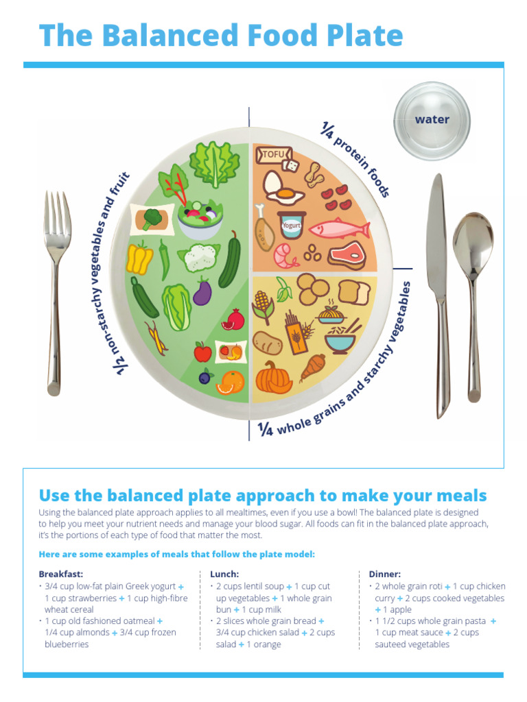 The Balanced Food Plate | PDF | Foods | Fruit
