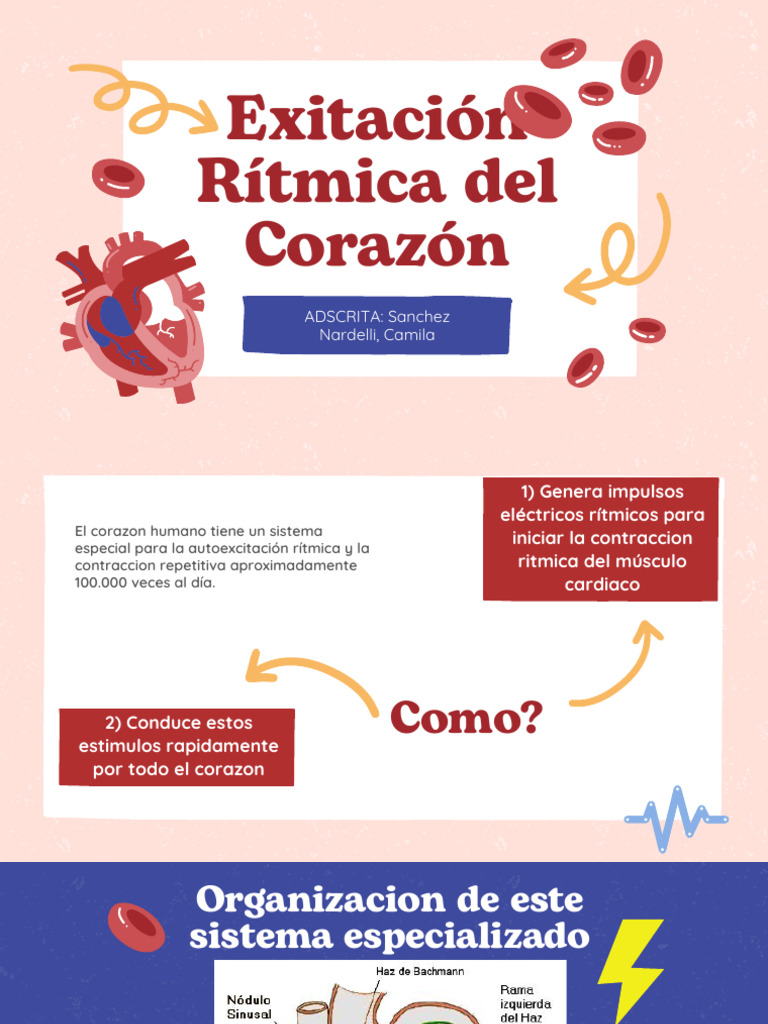 Exitación Rítmica Del Corazón 20250428 232730 0000 | PDF | Corazón ...