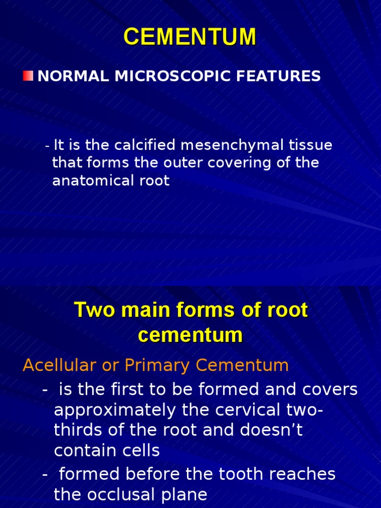 Microscopic Features of Cementum | PDF | Human Tooth | Bone