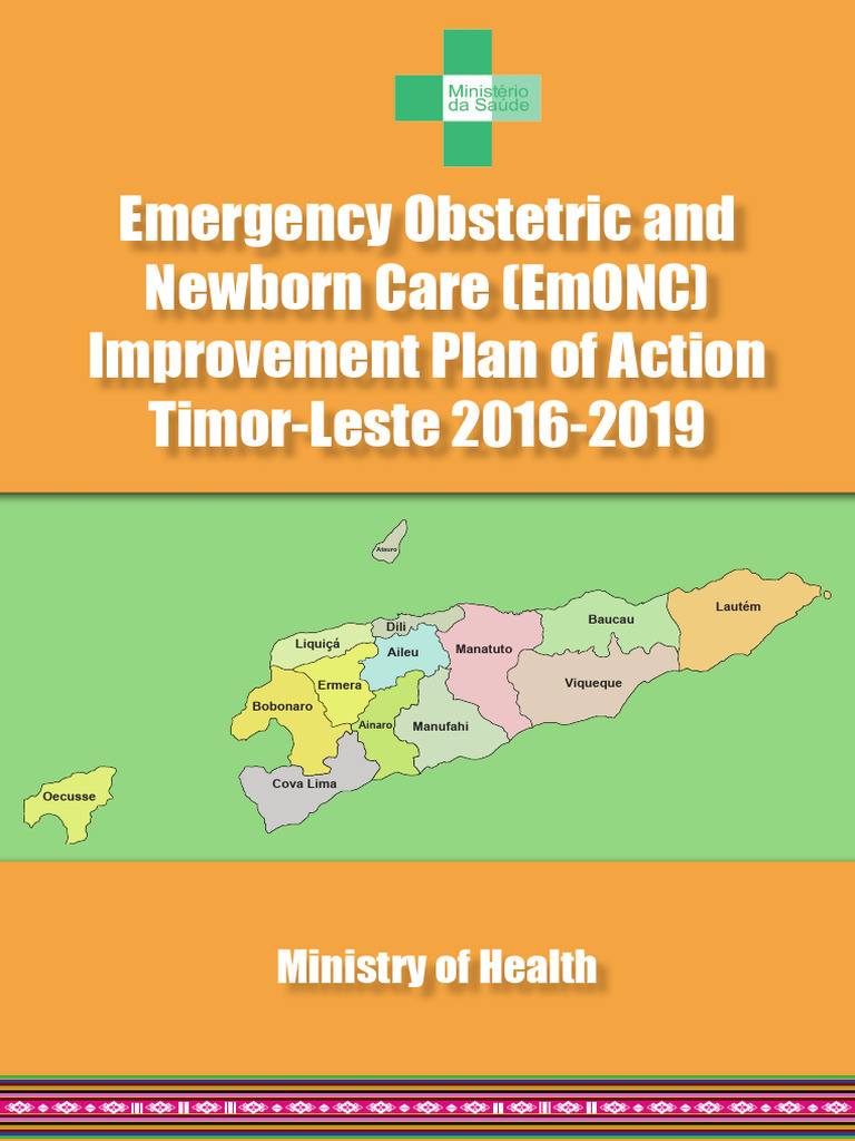 Tls Mn 91 01 Plan Strategy 2016 Eng Emergency Obstetric and Emonc ...