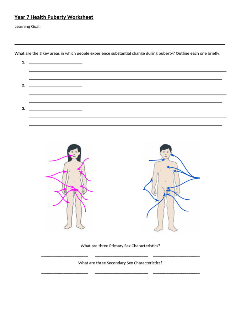 Puberty Worksheet | PDF