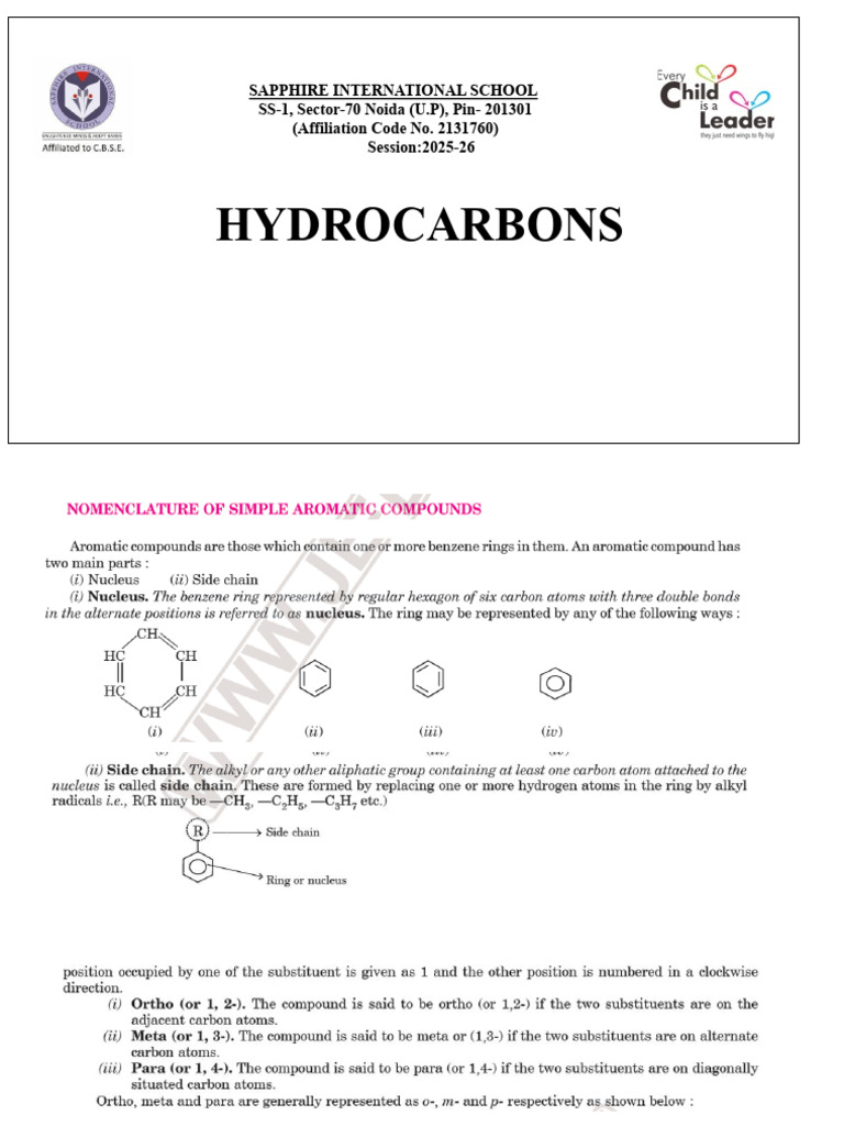Complete Notes Hydrocarbons | PDF