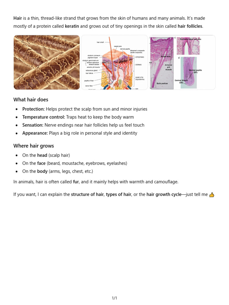 What Is Hair | PDF