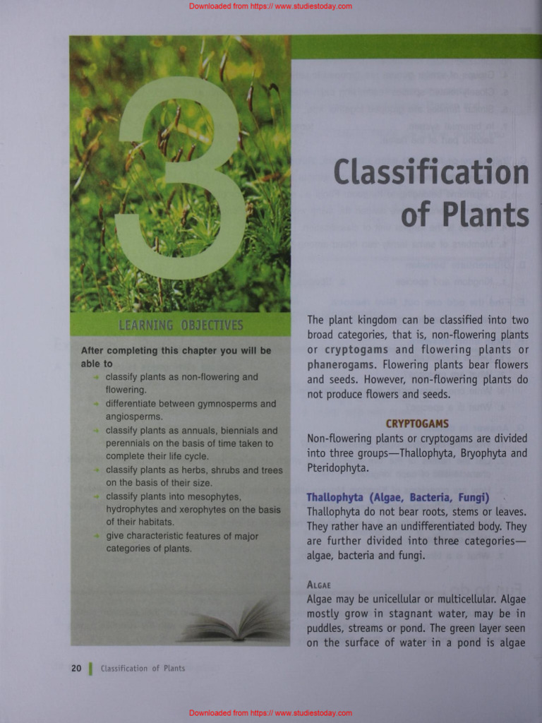 ICSE Class 6 Biology Chapter 3 Classification of Plants | PDF