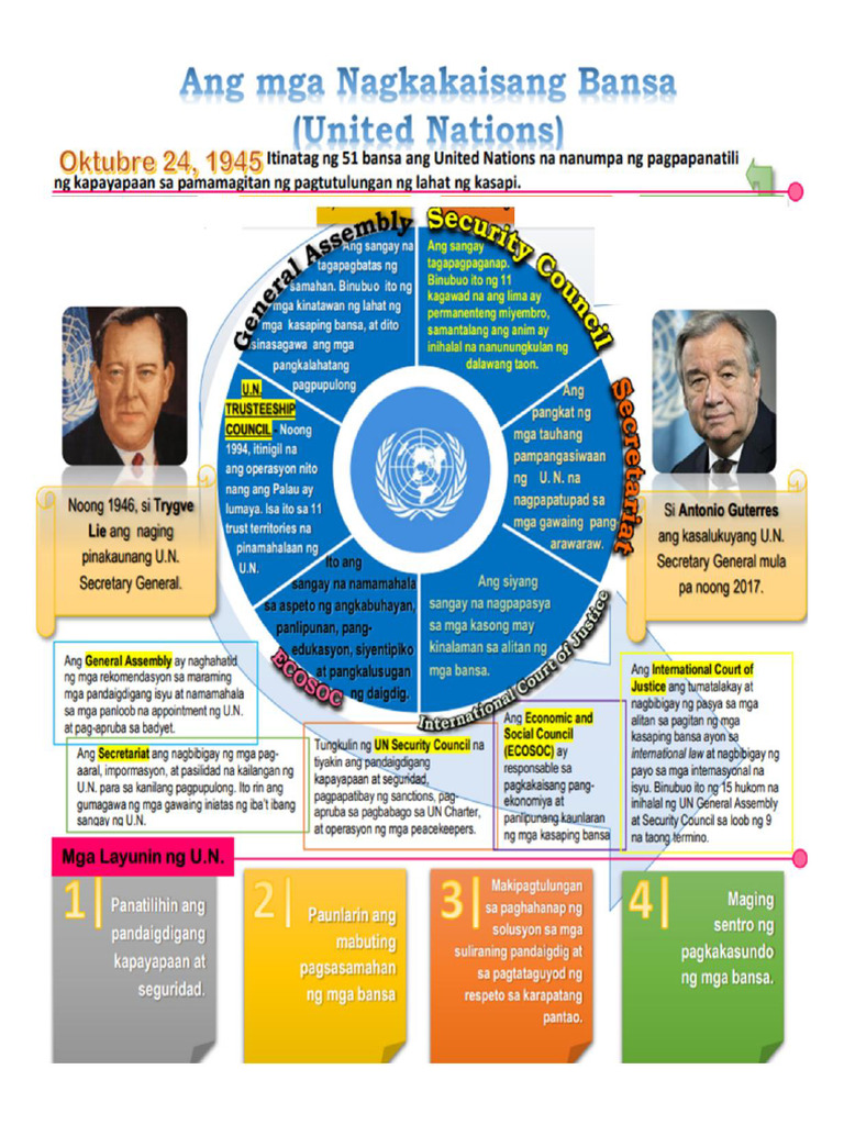 0united Nations IMs Infographics | PDF