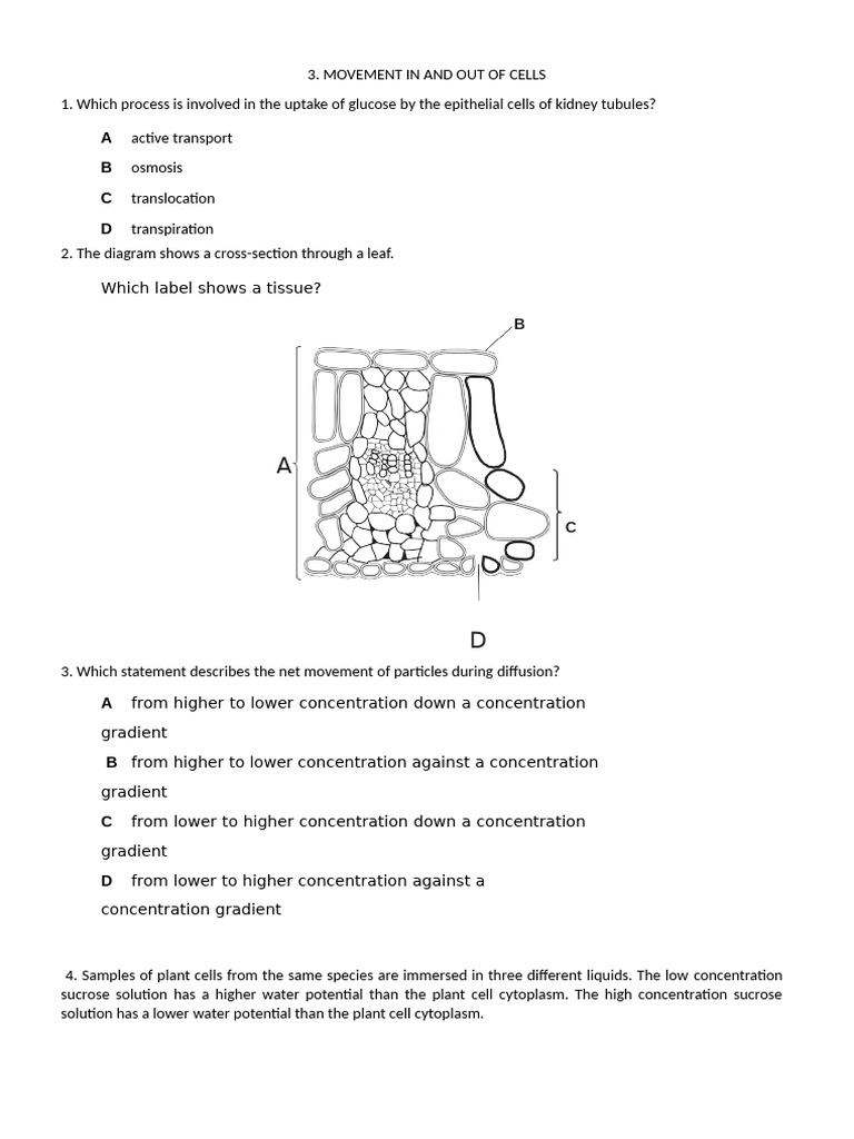 Chapter 3 P 1 Worksheet | PDF | Osmosis | Diffusion