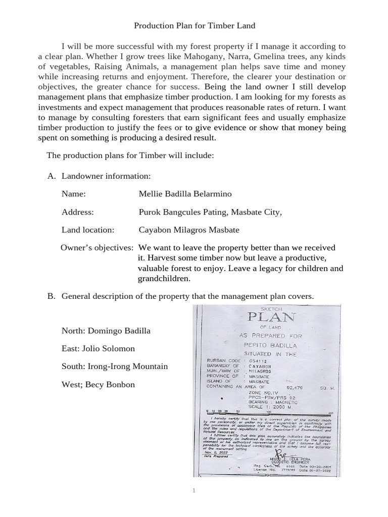 The Production Plan for Timber Land | PDF | Forests | Trees