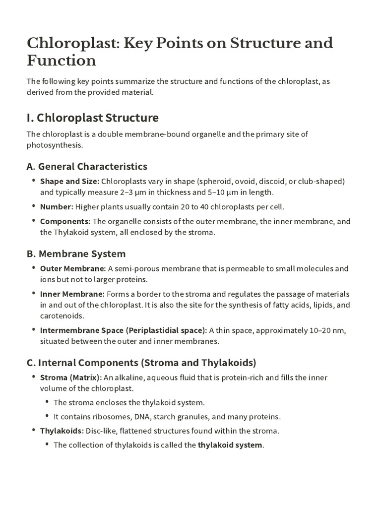 Chloroplast Key Points on Structure and Function. | PDF | Chloroplast ...
