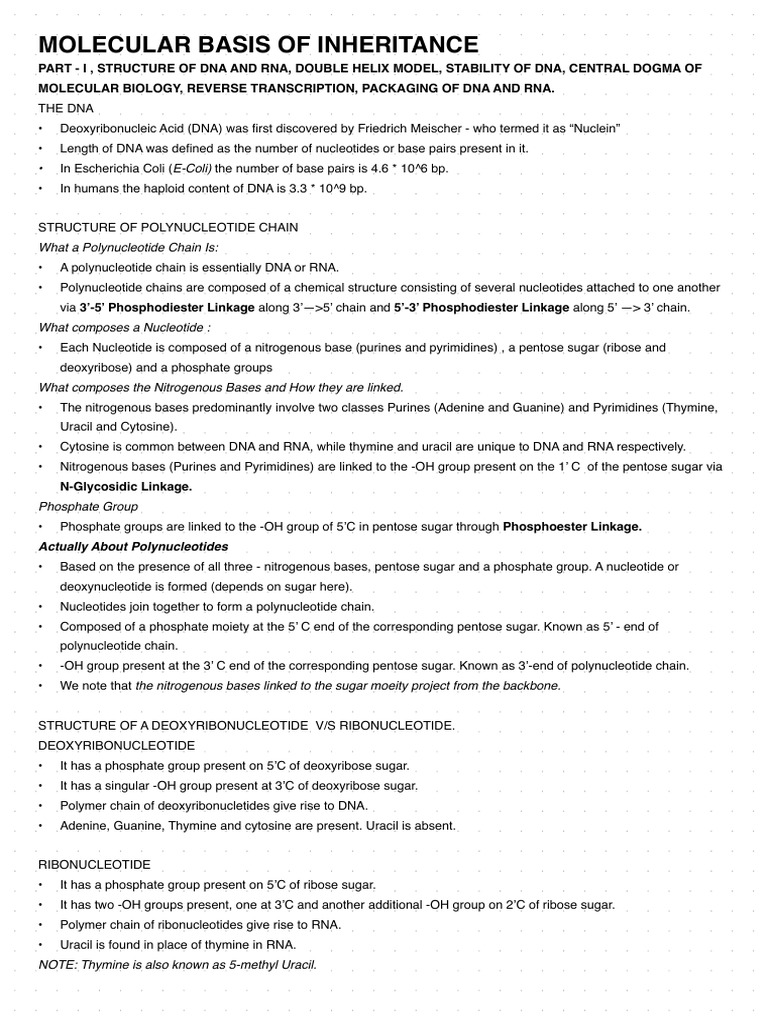 Molecular Basis of Inheritance Notes | PDF | Translation (Biology ...