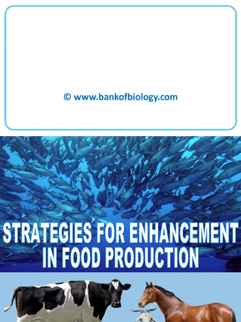 9-12 Strategies For Enhancement in Food Production PPT Part 1 | PDF