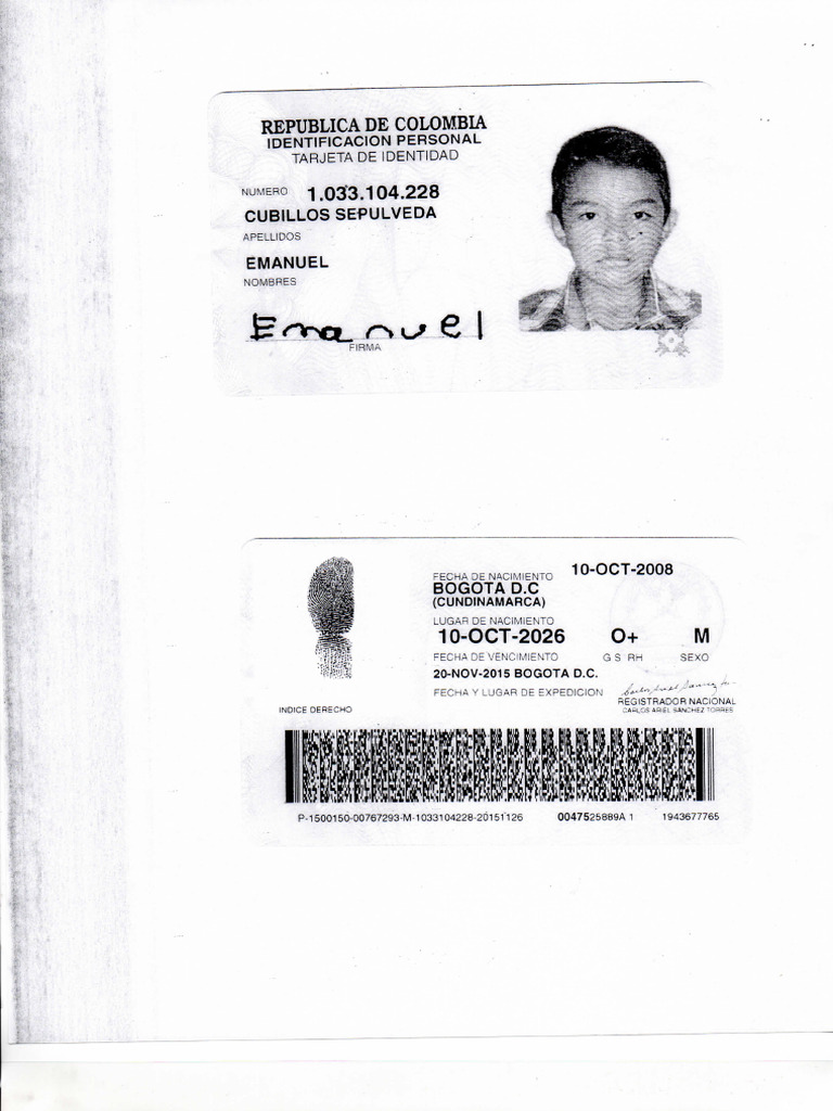 Ti Emanuel Cubillos | PDF