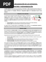 Animales y su Simetría Corporal | PDF | Simetría | Zoología