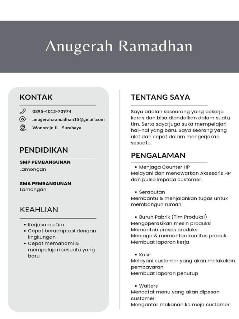 Only CV | PDF