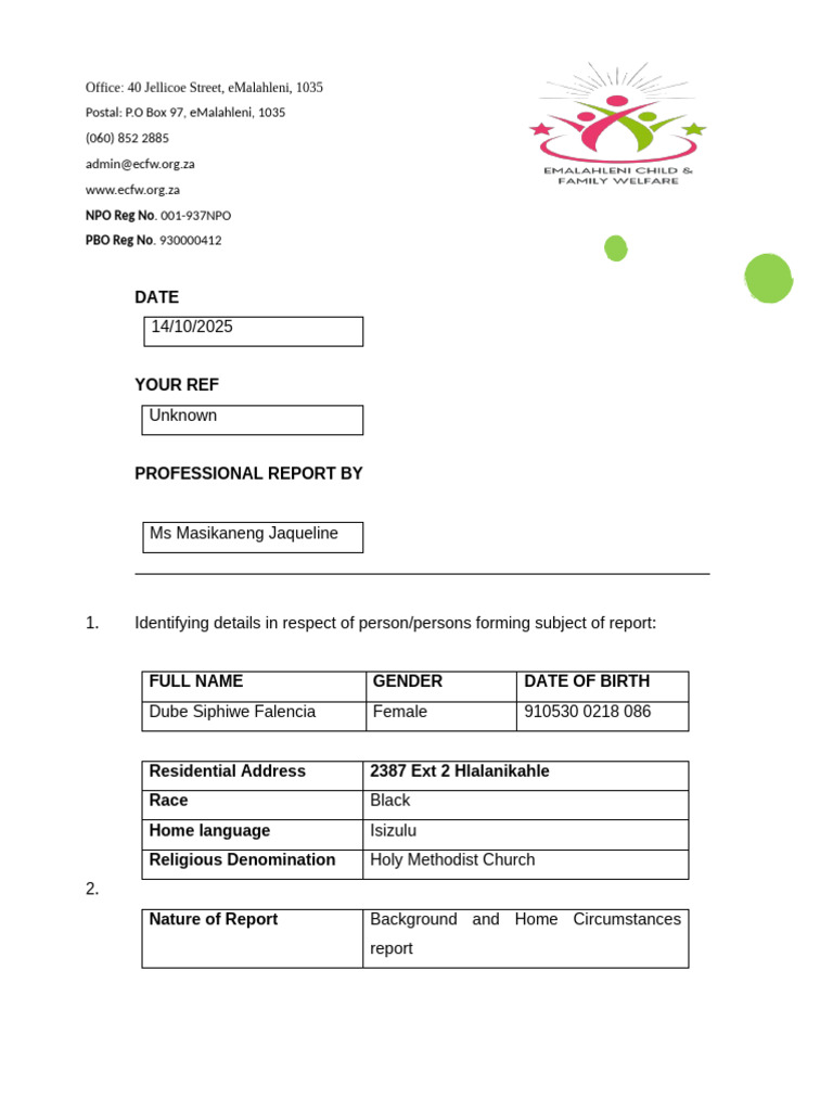 Background Report Dube | PDF | Parent | Youth