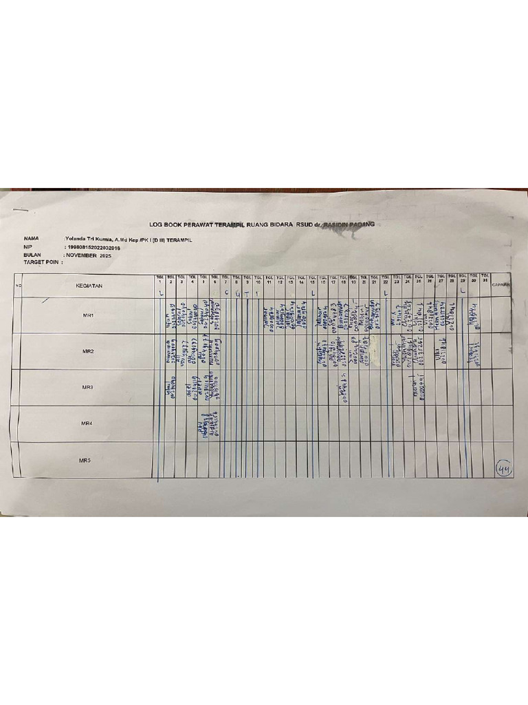 Logbook Nov 2025 Yola | PDF
