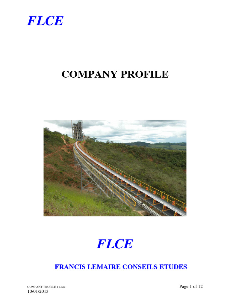 FLCE Profile | PDF | Belt (Mechanical)