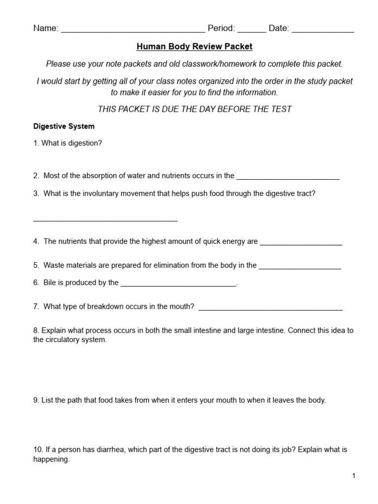 Human Body Review Packet (2024) | PDF | Circulatory System | Human Body