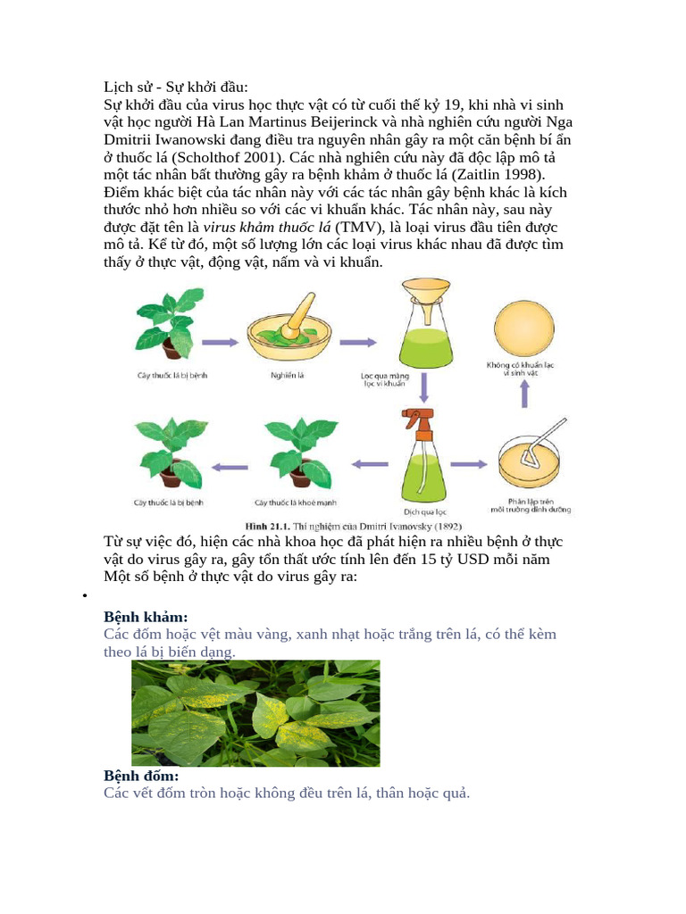 Sinh (1) | PDF