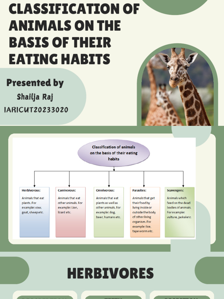 Classification of animals on the basis of their eating habits | PDF ...