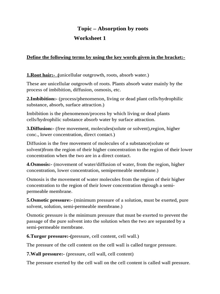 Worksheet 1 Absorption by Roots. | PDF | Osmosis | Membrane Biology