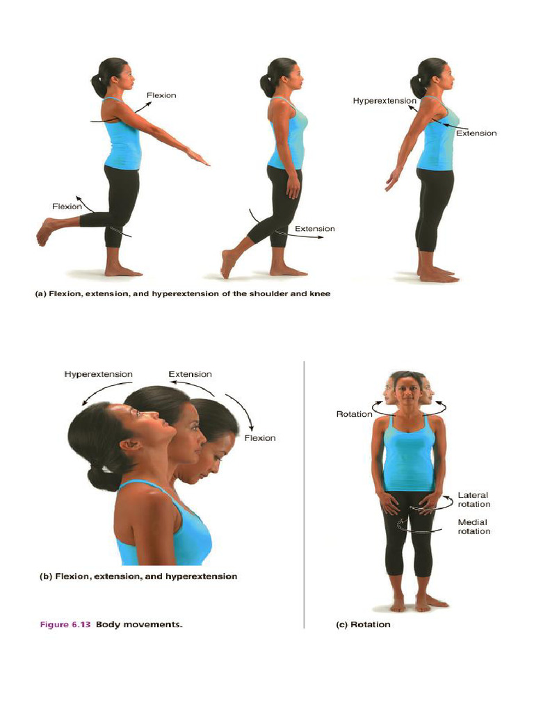 Body Movement | PDF