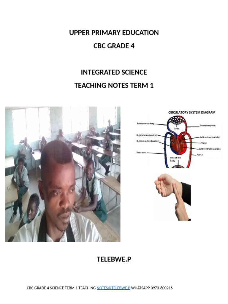 CBC G4 Science Teaching Notes Term 1@2026 D.P.T | PDF | Artery | Vein