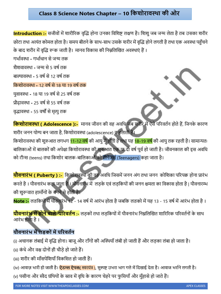 Class 8 Science Notes Ch10 Watermark Compressed | PDF