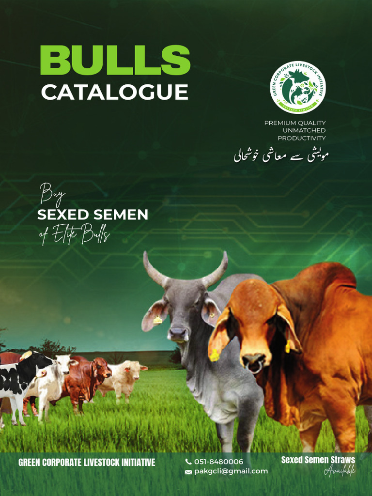 GCLI Bulls Catalogue 01 | PDF | Dairy Cattle | Cattle