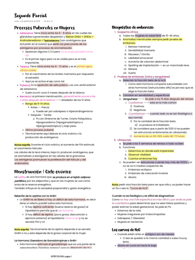 Procesos Puberales | PDF | Hormona luteinizante | Ciclo menstrual