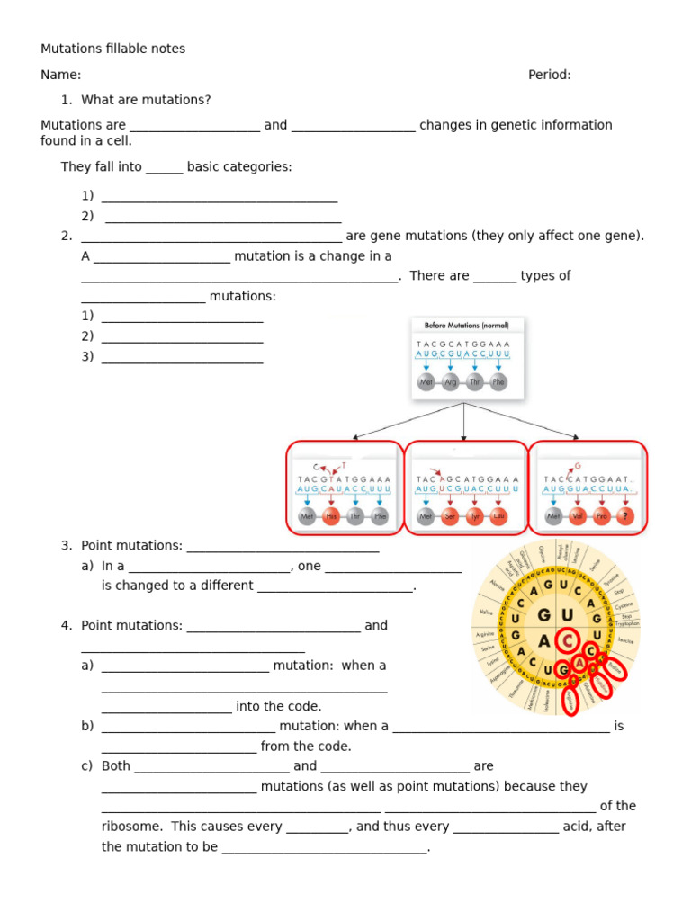 Mutations Fillable Notes | PDF | Genetic Code | Mutation