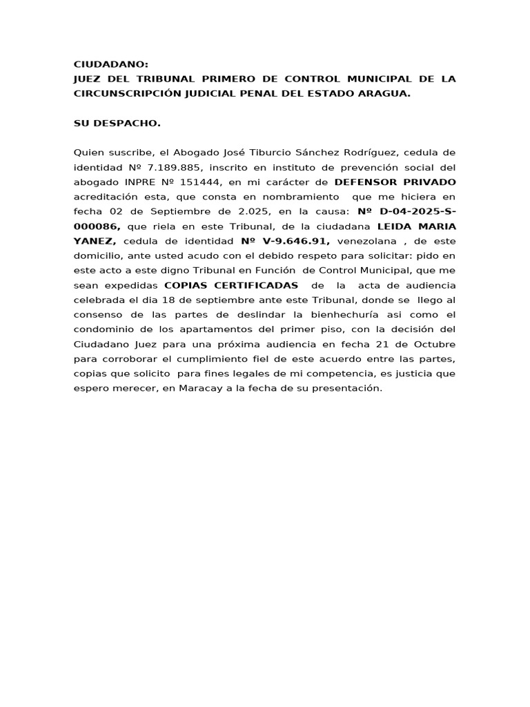 Leida Yanez Causa Tribuanl Penal de Municipio Copias Certificadas | PDF