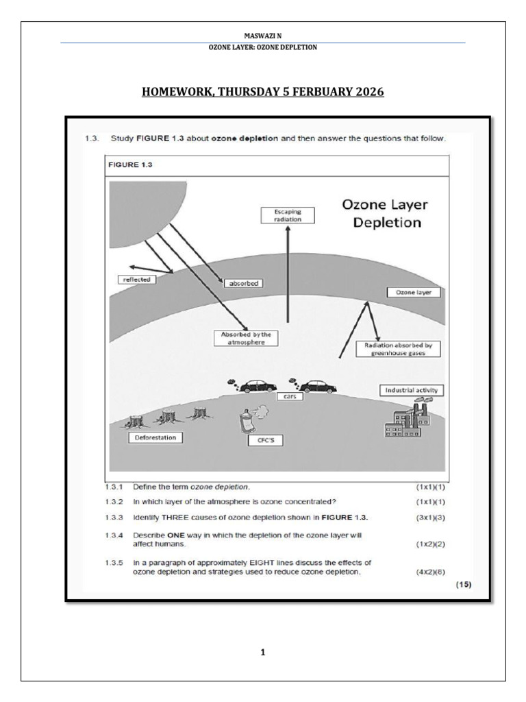 Ozone Layer (Ozone Depletion) | PDF