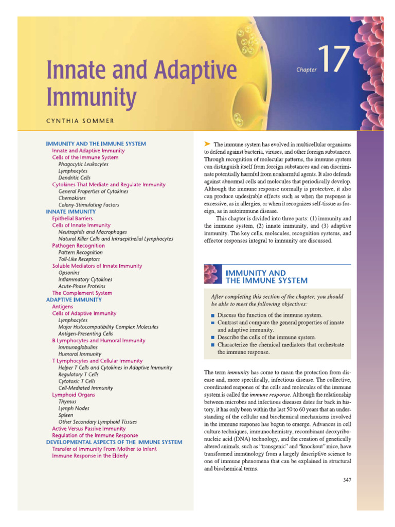 Innate and Adaptive Immunity | PDF