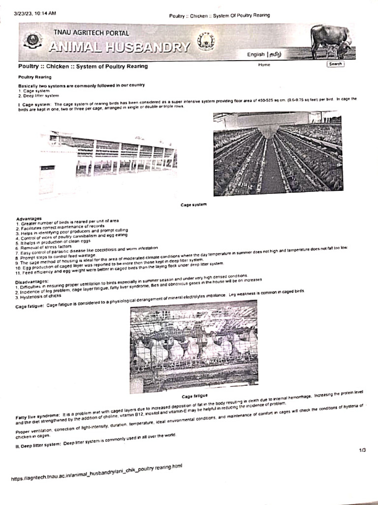 Poultry Rearing | PDF