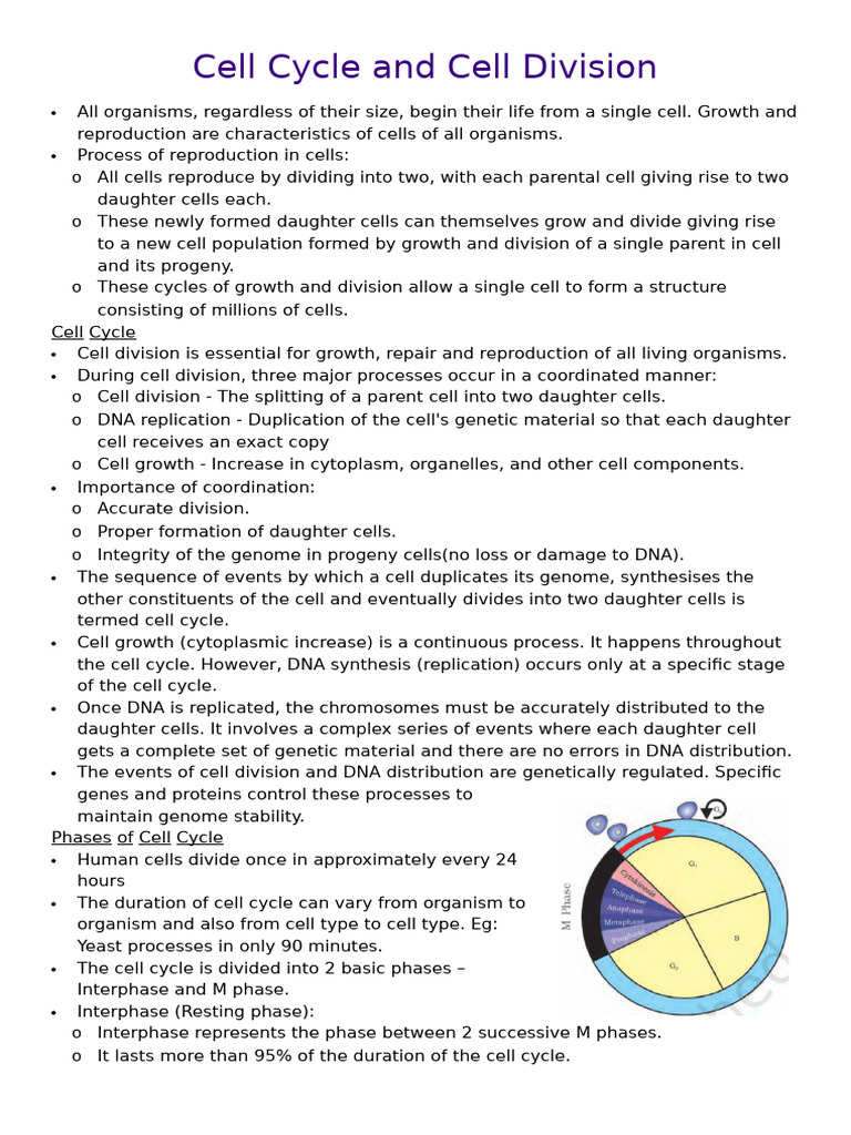 Cell Cycle and Cell Division - Notes | PDF | Meiosis | Mitosis