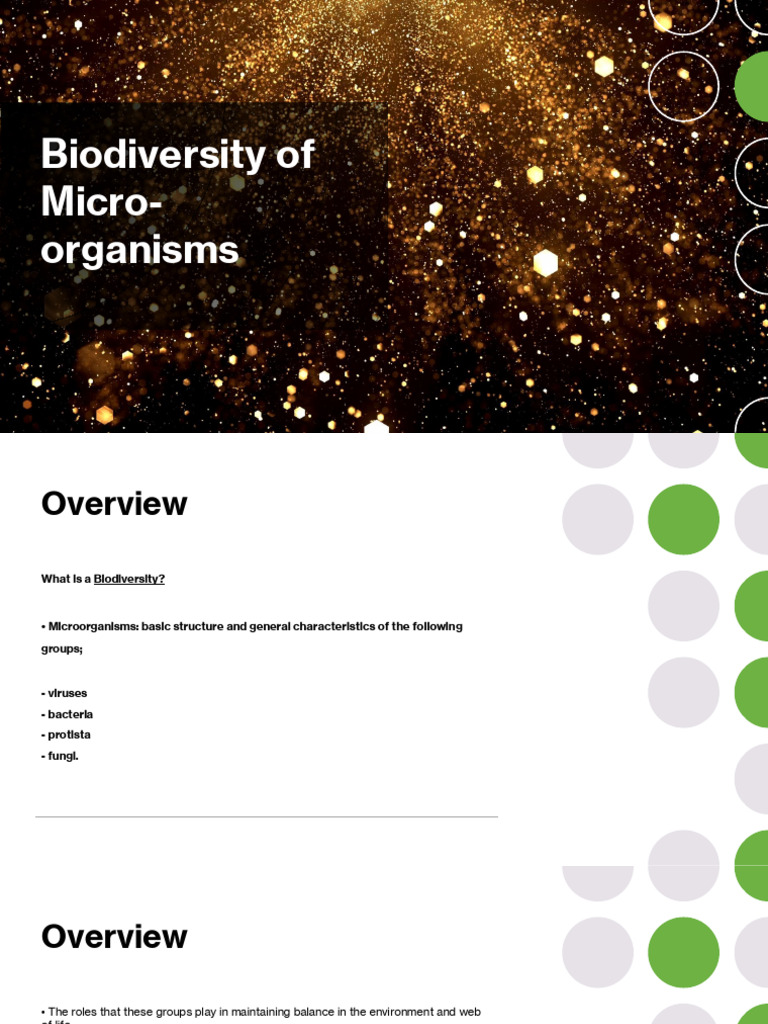 Biodiversity of Micro-Organisms | PDF | Microorganism | Bacteria