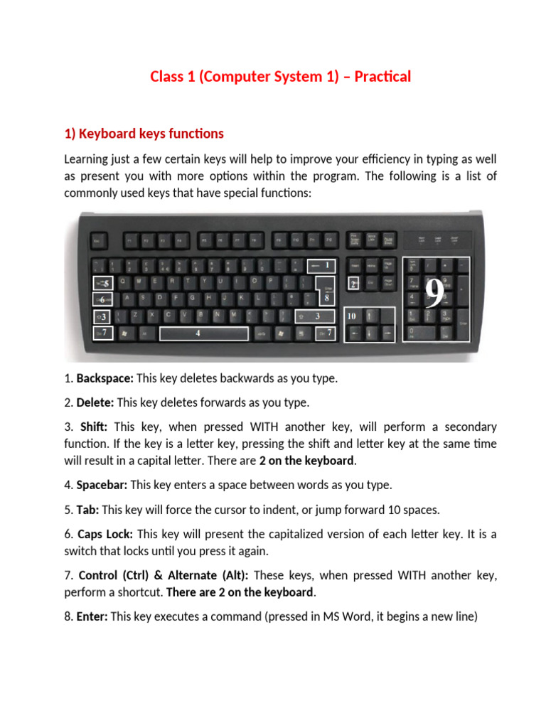 Computer Skills - Lab 1 | PDF