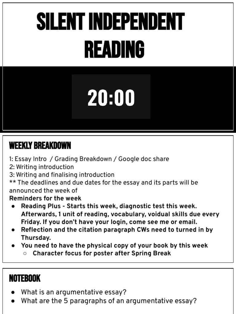 Silent Independent Reading | PDF | Essays | Social Media