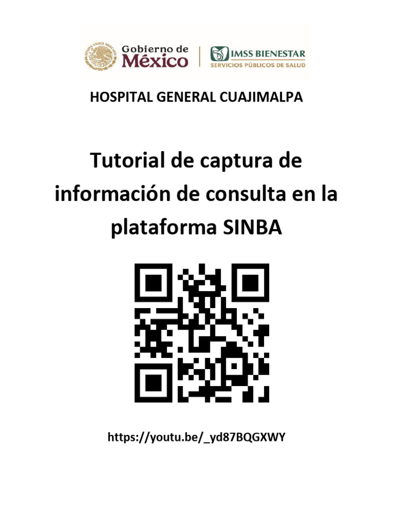QR Captura Sinba PDF | PDF