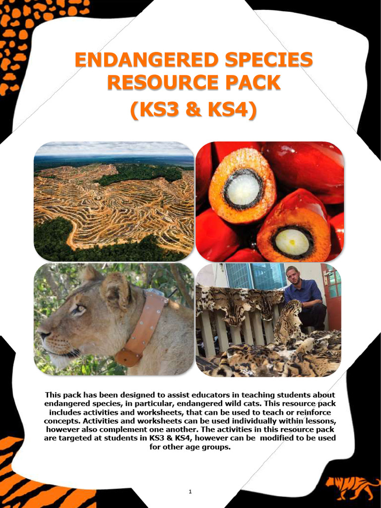 PDF Endangered Wild Big Cats Resource Pack for Teachers | PDF ...