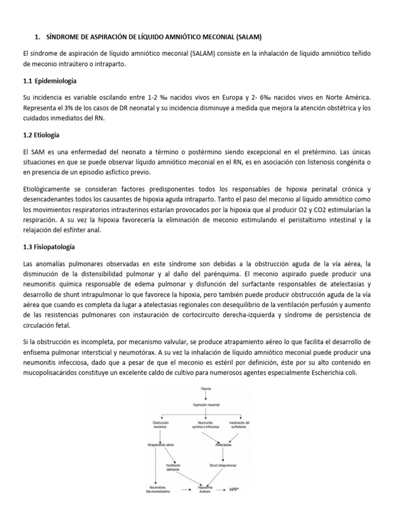 Sindrome de Aspiración de Líquido Amniótico Meconial | PDF ...