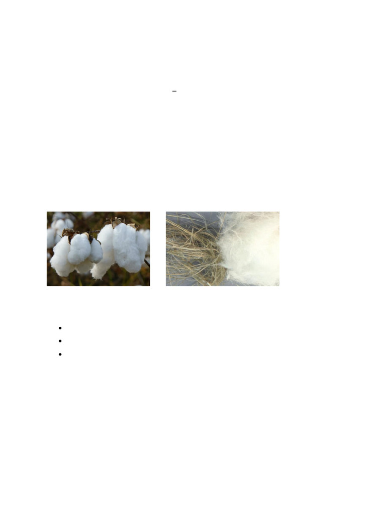 207 Basic Textiles Notes 2025-2026 Academic Year | PDF | Yarn | Textiles