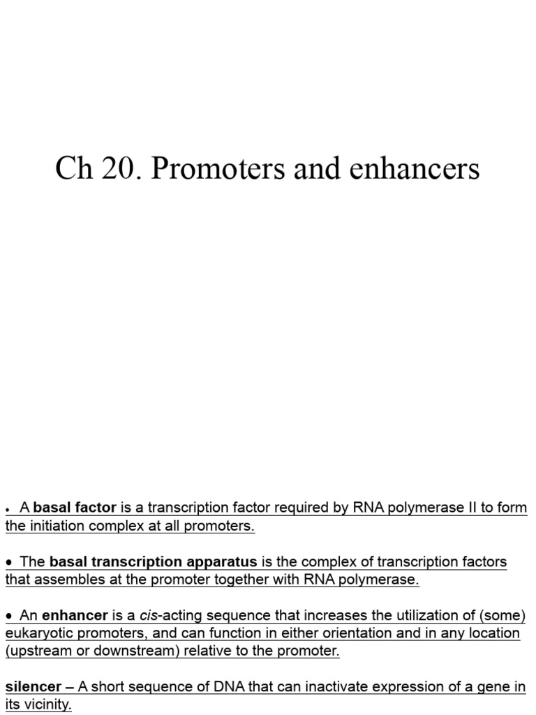 Ch20. Promoters and Enhancers | PDF | Promoter (Genetics) | Rna